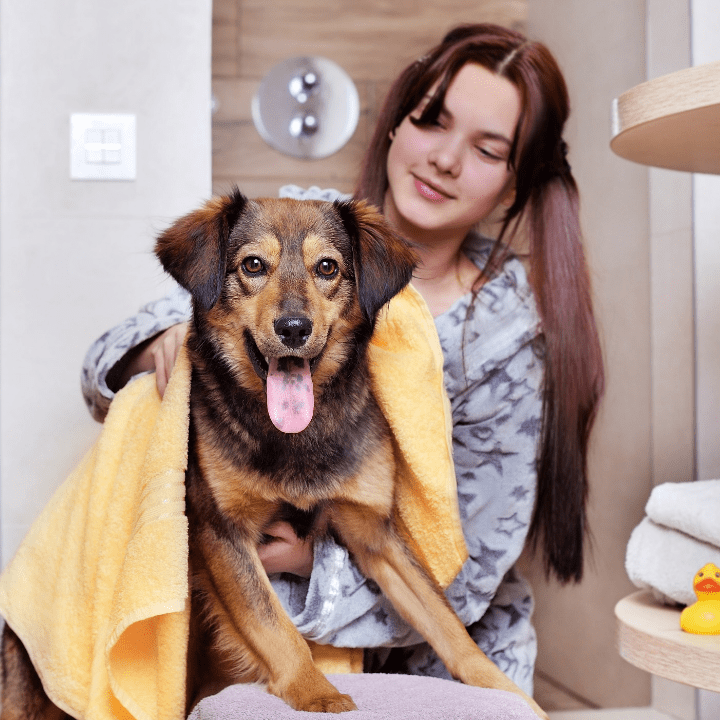 The Dog Groomer Salary in 2021 - Sniffin' Around