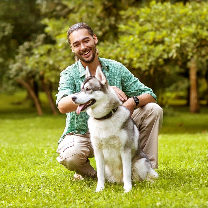 Naming Your Dog Training Business: Everything You Need To Know