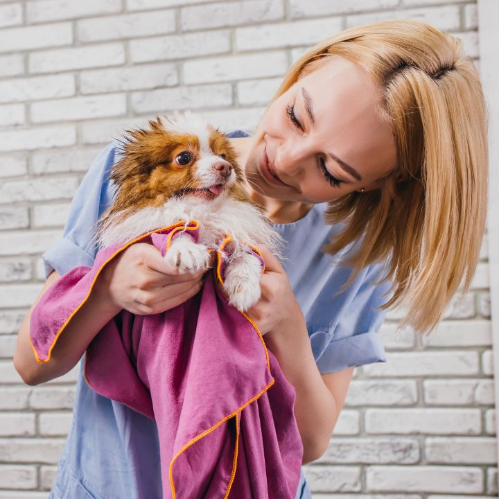 10 New Year's Resolutions for Your Dog Grooming Business