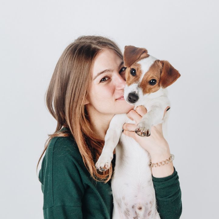 The 6 Fundamentals of Safe Dog Training - Sniffin' Around