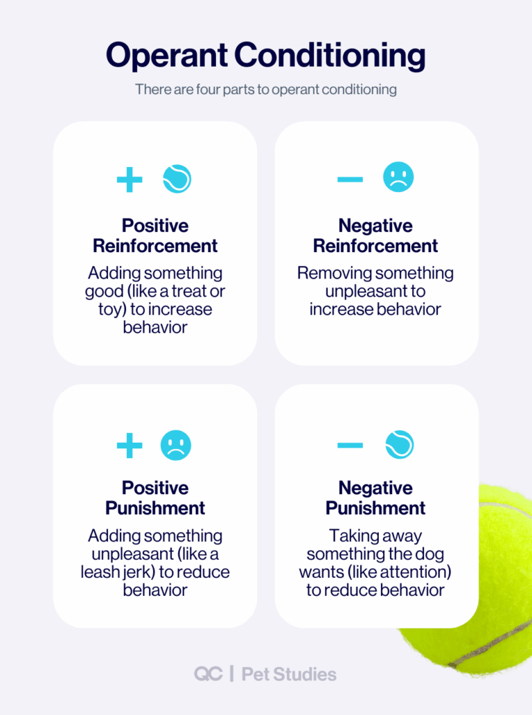 12 Dog Training Methods Explained: A Science-Backed Guide - Sniffin' Around